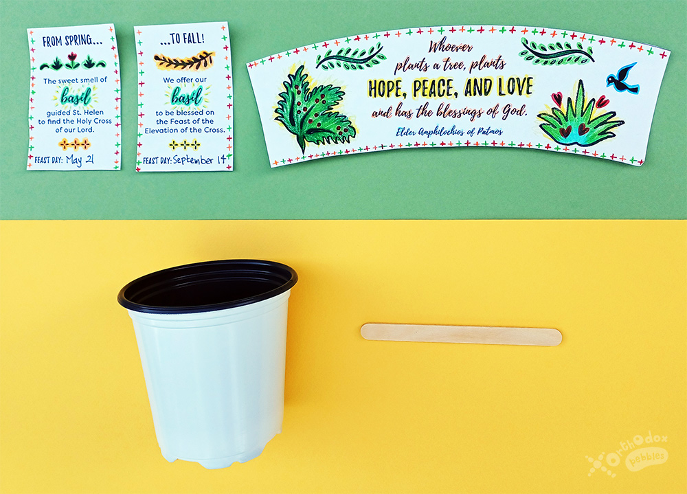 Basil planting summer project – Orthodox Pebbles
